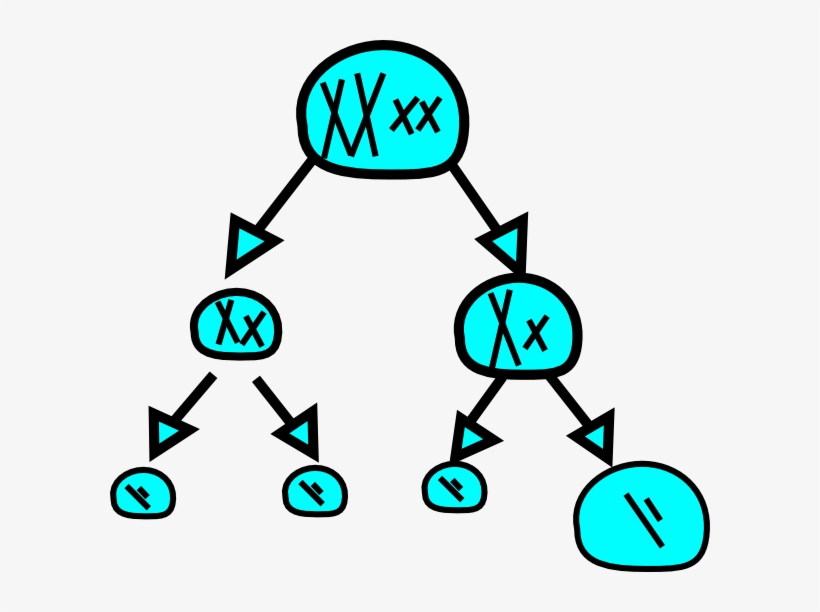 Science Clip Art - Meiosis Clip Art Transparent PNG - 600x532 - Free ...