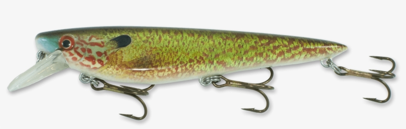 Sunfish - Ocean Sunfish Transparent PNG - 2682x796 - Free Download on ...