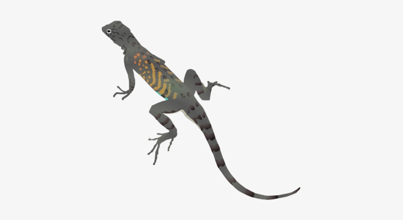 Free Icons Png - Lizard Clip Art No Background Transparent PNG ...