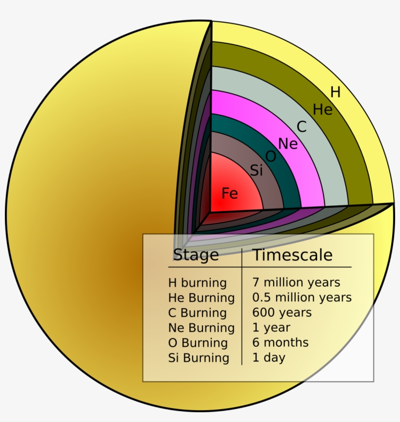 The Structure Of A Massive Star In Its Last Throes - Stellar ...