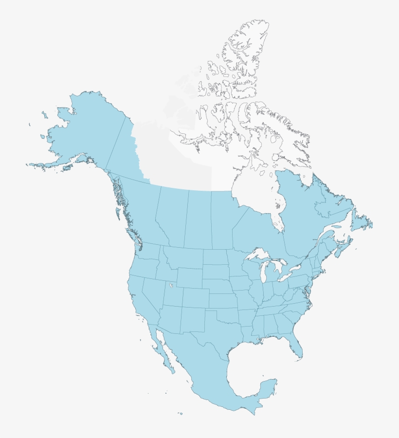 Rat Map - Interior Alaska Yukon Lowland Taiga Biome Transparent PNG ...