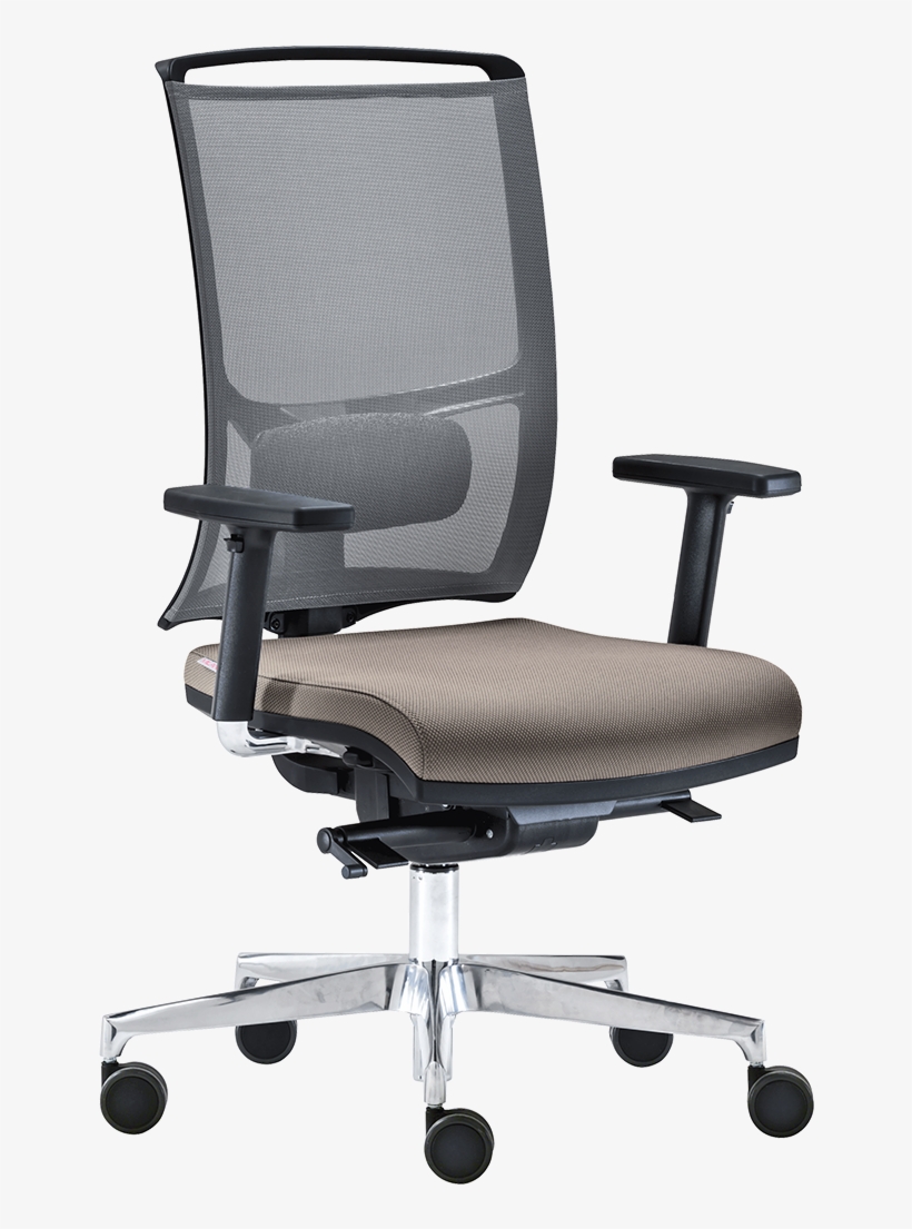 Sedia Ufficio Ergonomica Transparent PNG - 1024x1024 - Free Download on ...