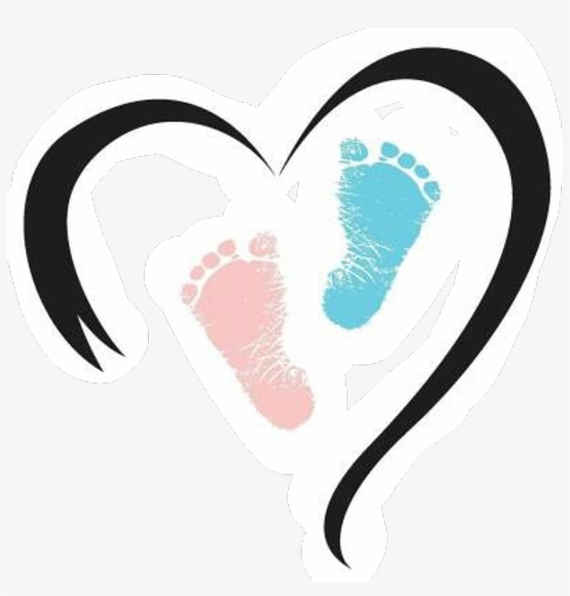 March Of Dimes Footprint