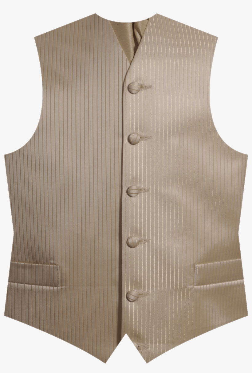 Download - Vest Transparent PNG - 1501x2200 - Free Download on NicePNG