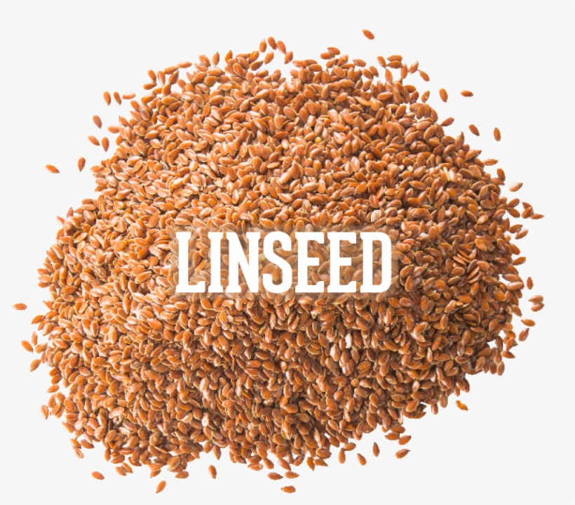 Linseed - Seed Transparent PNG - 850x709 - Free Download on NicePNG