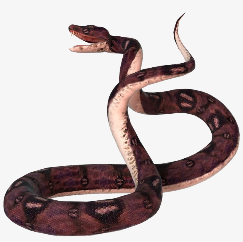 Download Free Png Anaconda No Png Images Transparent - Snakes - HD ...