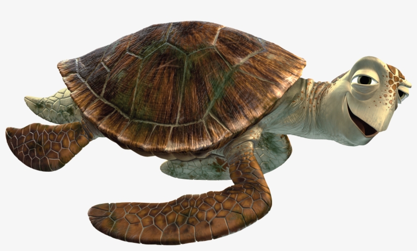 Finding Nemo Bruce Png