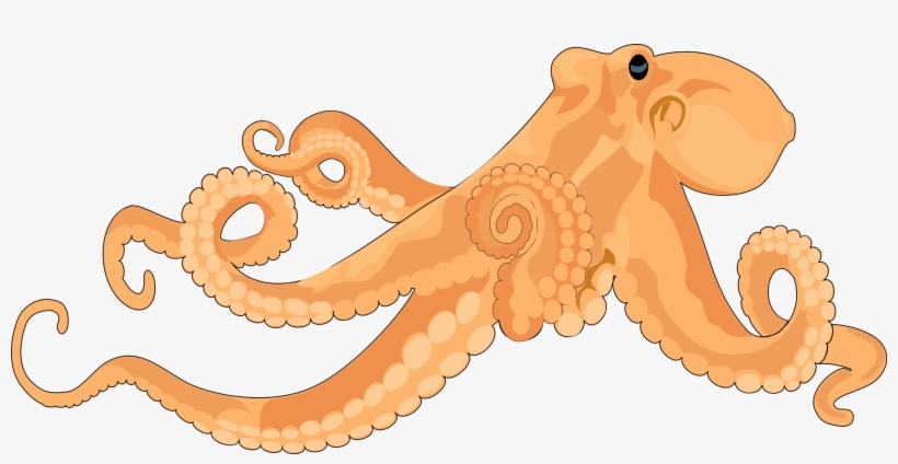 Download Lighthouse Clipart Octopus - Giant Pacific Octopus Clip Art ...