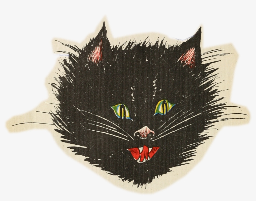 Little Gray Mouse - Samantha Akkineni Transparent PNG - 2136x1592 ...