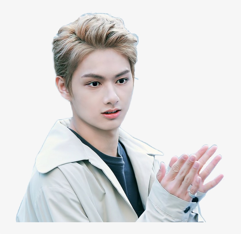 Jun Seventeen Profile - Jun Seventeen Transparent PNG - 711x716 - Free ...