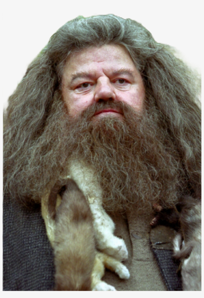 Hagrid Sticker - Hagrid Harry Potter Transparent PNG - 1024x1449 - Free ...