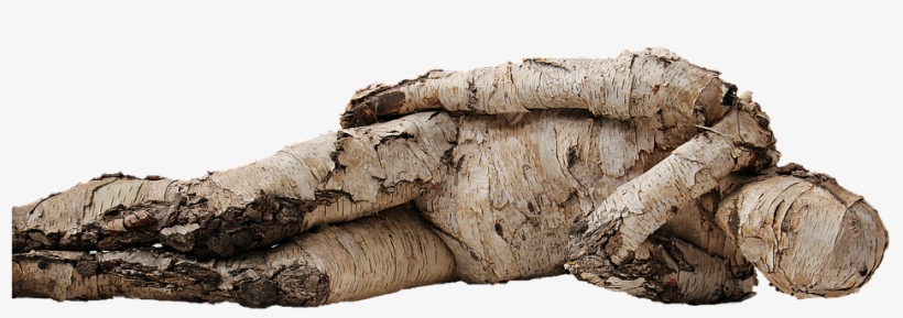 Man Tree Man Wood Birch Artwork Art Concerns - Человек У Берёзы ...