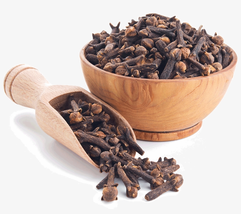 Clove - Clove Hd Png Transparent PNG - 1590x1376 - Free Download on NicePNG