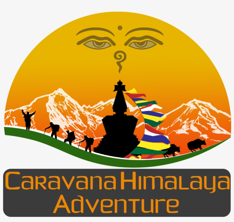 Logo Footer - Poster Transparent PNG - 1024x1024 - Free Download on NicePNG