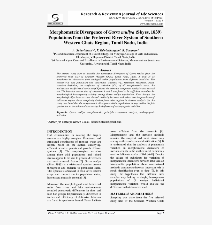 Pdf - Document Transparent PNG - 595x842 - Free Download on NicePNG