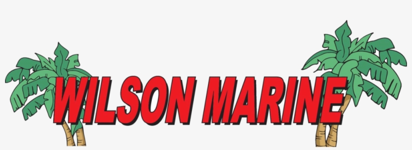 Wilson Marine - Graphics Transparent PNG - 1000x317 - Free Download on ...