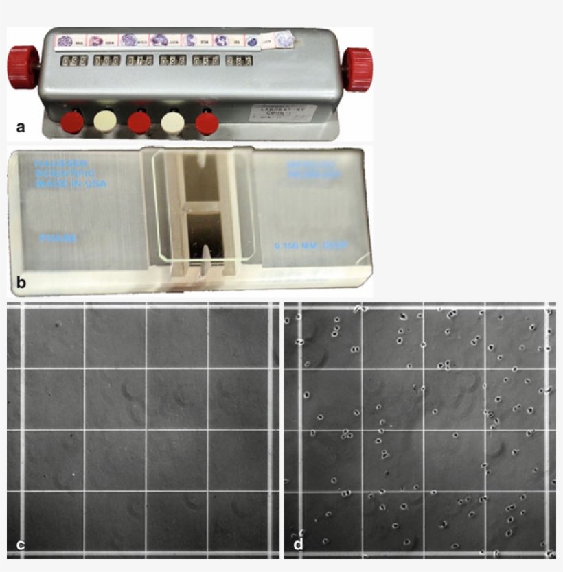 2 Materials Required For Counting Cells Using A Hemocytometer - Machine ...