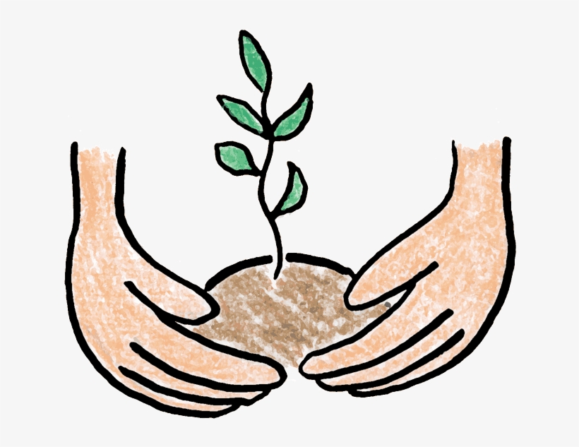 Tree That Flourish Growing Clipart - Plant Trees Clip Art Png ...