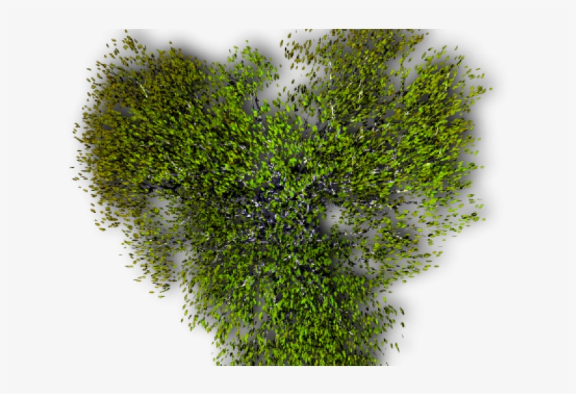 Download Drawn Grass Top View - Grass - HD Transparent PNG - NicePNG.com