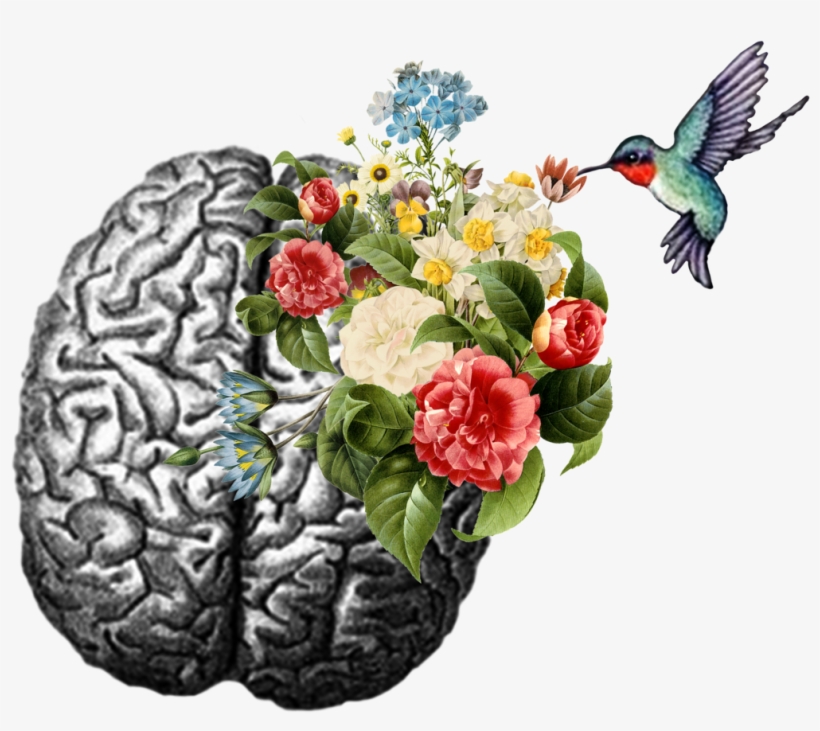 Hummingbird Brain - Sticker - Emotional Intelligence Psychology Today ...