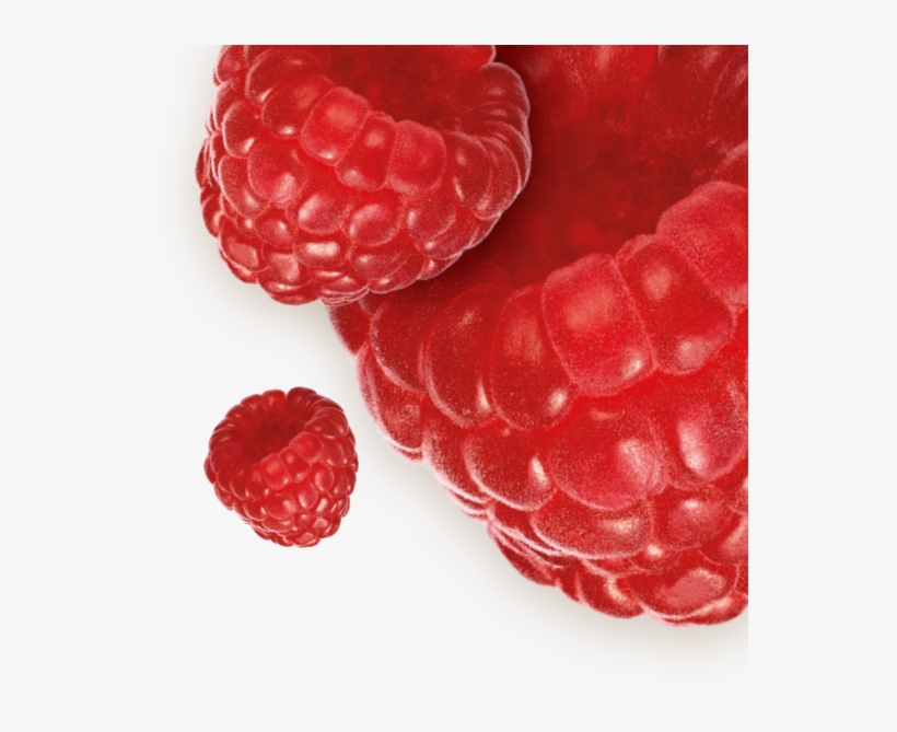Raspberry - Wine Raspberry Transparent PNG - 547x637 - Free Download on ...
