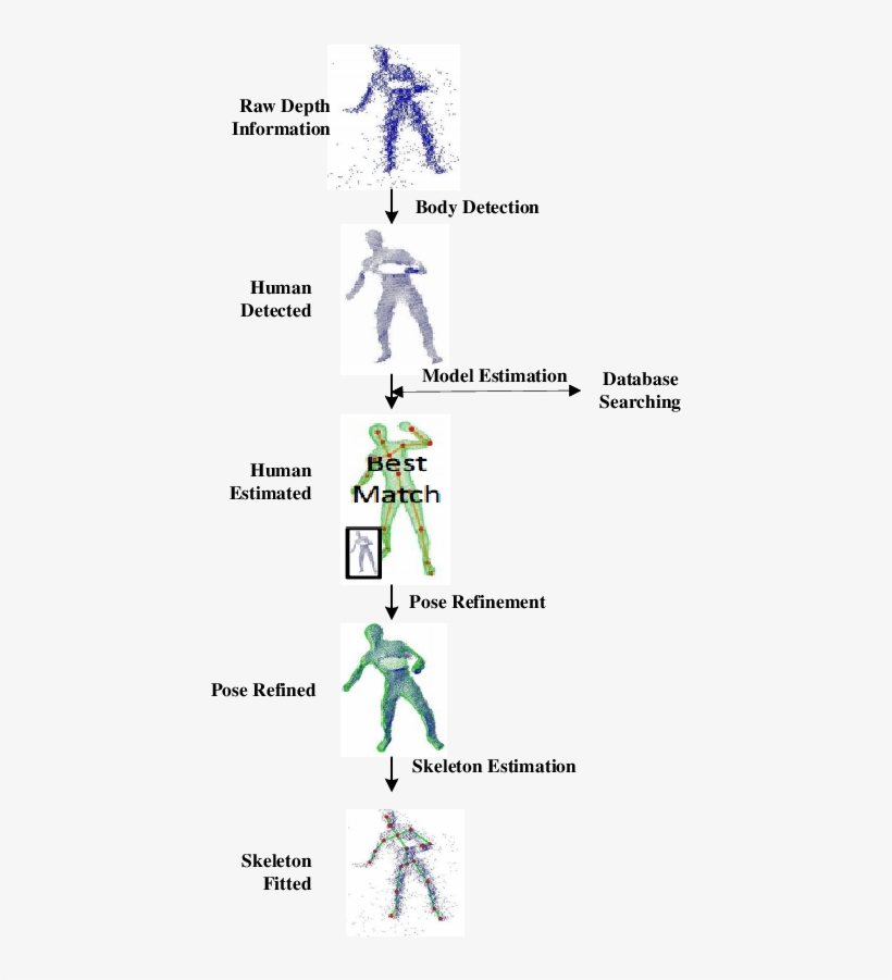 Example Of Body Skeleton Identification [58] - Cartoon Transparent PNG ...
