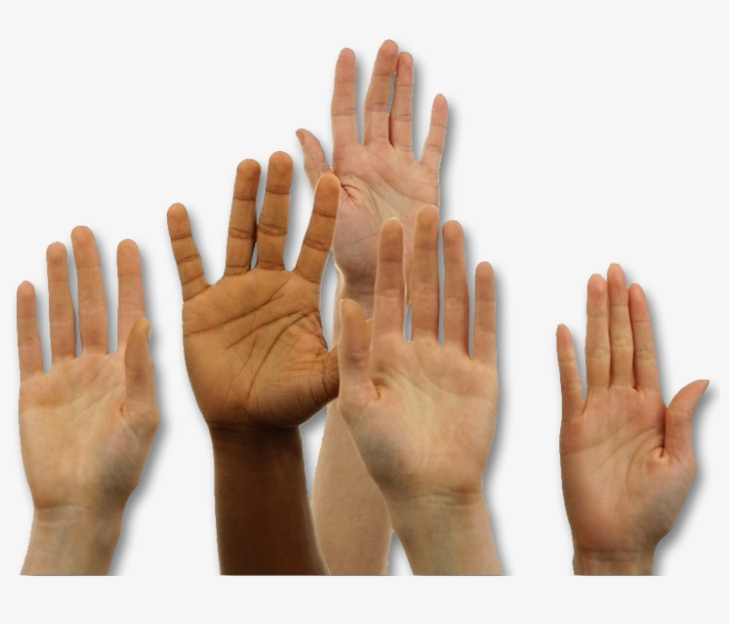 Public Involvement - Hands Raised Photo Transparent Transparent PNG ...