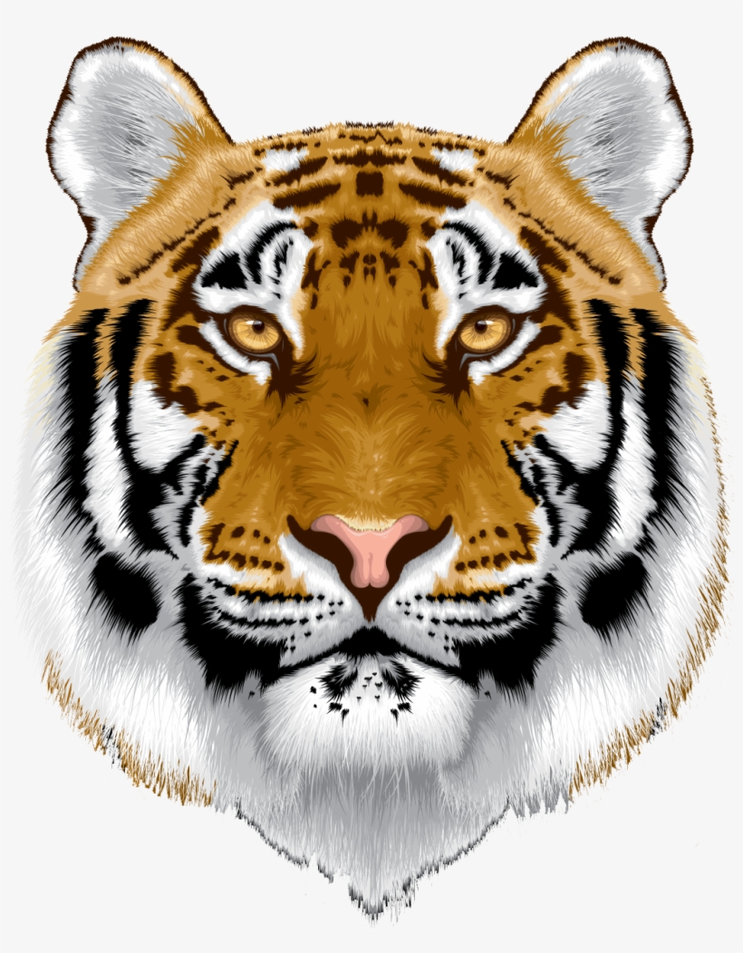 White Tiger Head Png - Tiger Head Image In Png Transparent PNG ...