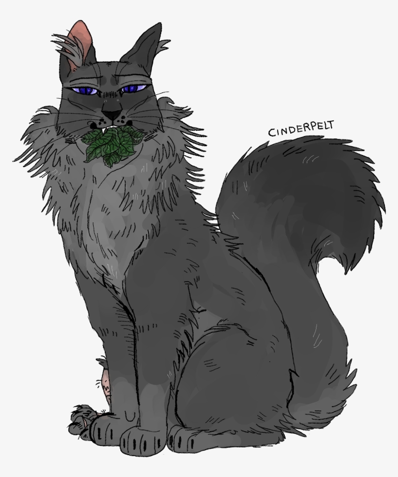 Poof - Illustration Transparent PNG - 1000x1000 - Free Download on NicePNG