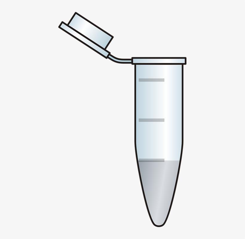 Vial Png - Eppendorf Png Transparent PNG - 429x720 - Free Download on ...