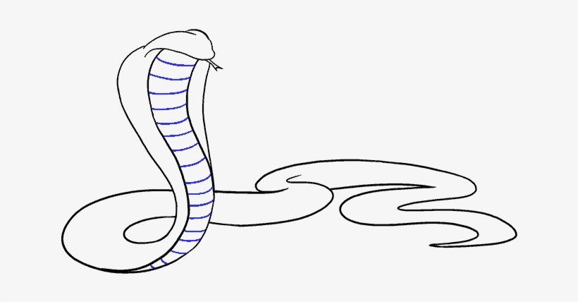 Download How To Draw Cobra - Cobra Drawing Easy - HD Transparent PNG ...