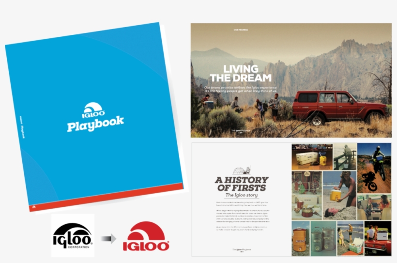 Freeskier - Flyer Transparent PNG - 1000x614 - Free Download on NicePNG