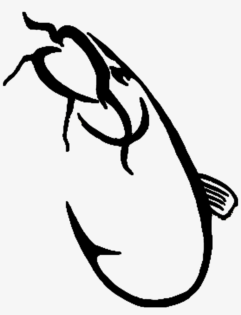 The Catfish Jake Foundation Transparent PNG - 3000x3000 - Free Download ...