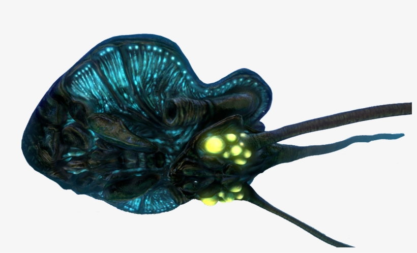 Fauna Png Fandom Powered Faunapng - Subnautica Reefback Leviathan ...