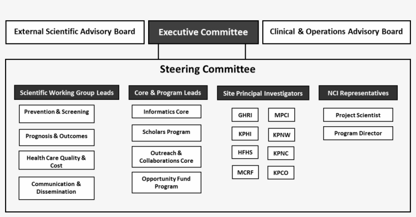 Graphic Of The Crn Organizational Chart - Steering Committee Org Chart ...
