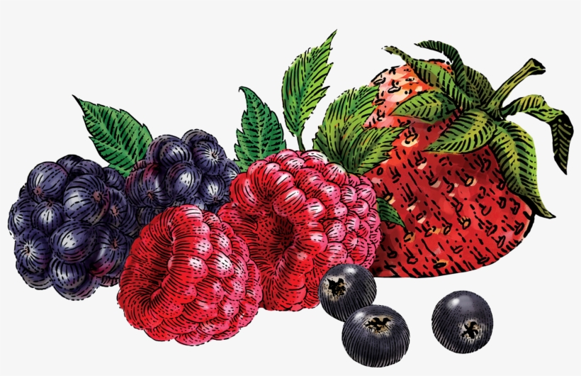 Mixed Berries Png Image Berries Png,Berries Png Free, 58% OFF