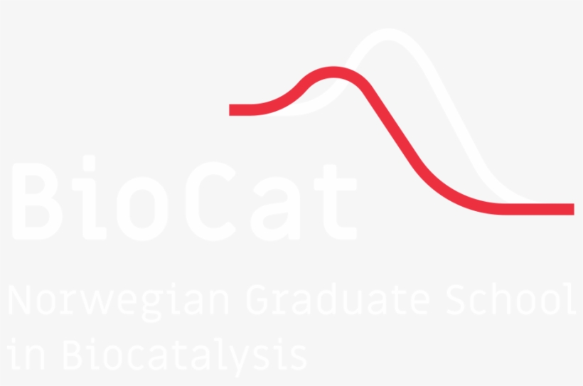 The Biocat Logo - Graphic Design Transparent PNG - 909x558 - Free ...