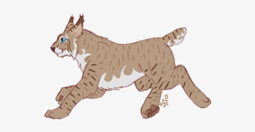Lynx Clipart Transparent Background Transparent PNG - 551x349 - Free ...