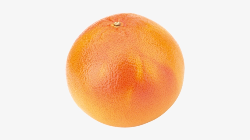 Grapefruit - Grapefruit Transparent Transparent PNG - 500x500 - Free ...