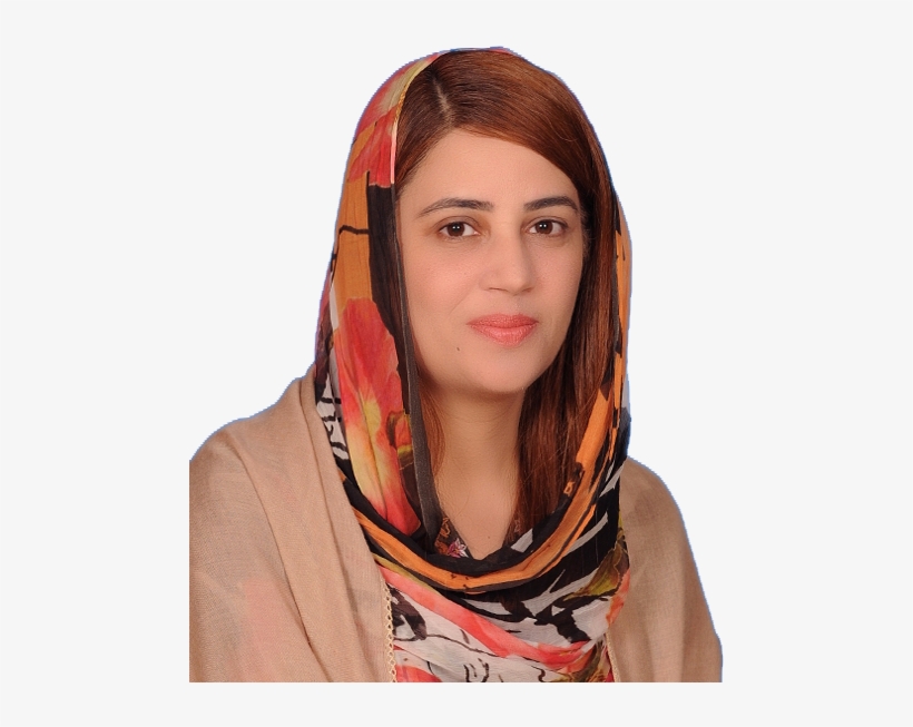 Zartaj Gul Hd Picture Pti Member - Girl Transparent PNG - 504x648 ...