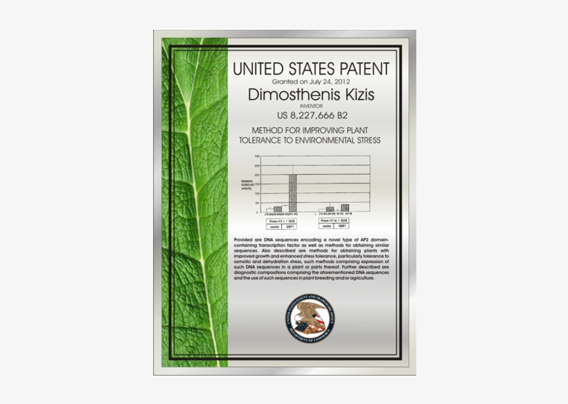 Select - Label Transparent PNG - 600x600 - Free Download on NicePNG