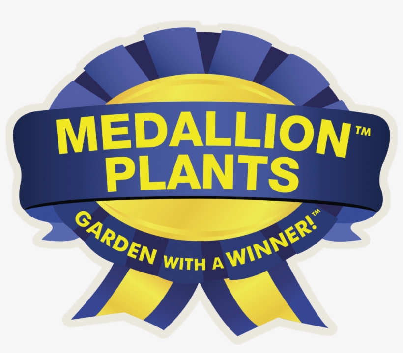 Unleash - Label Transparent PNG - 988x816 - Free Download on NicePNG