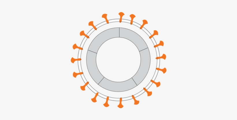 Electron Microscopy Image Of Vbi's Cmv Vaccine Candidate, - Line ...