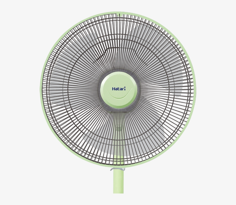 Find Out More » - Hatari Fan Transparent PNG - 545x633 - Free Download ...