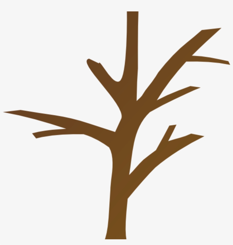 Simple Leafless Tree Outline