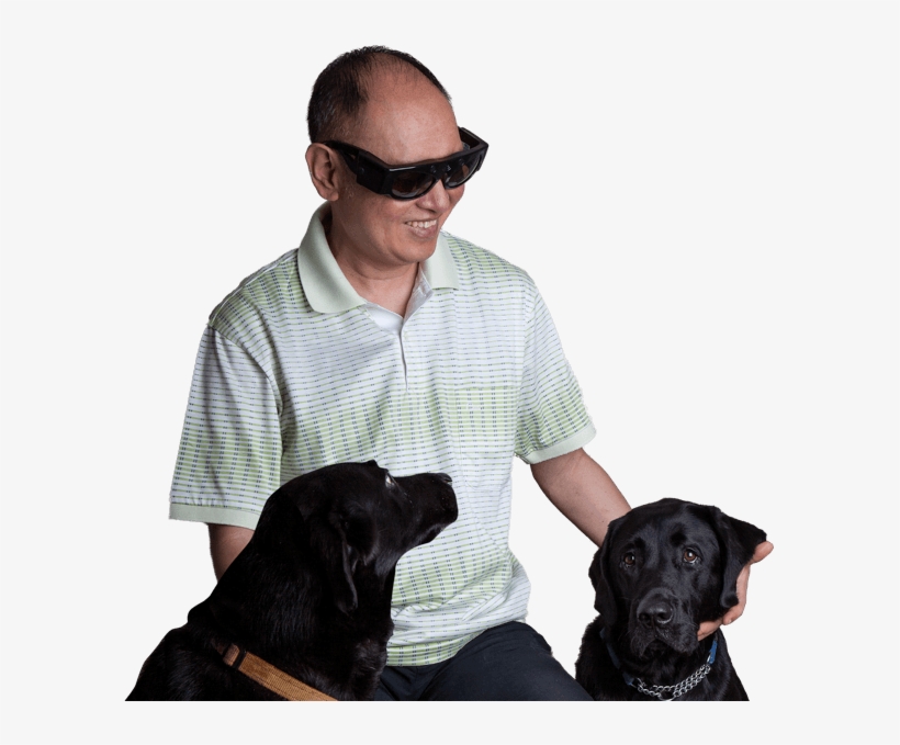 Meet Chi And Guide Dogs Pixie And Rufus - Labrador Retriever ...