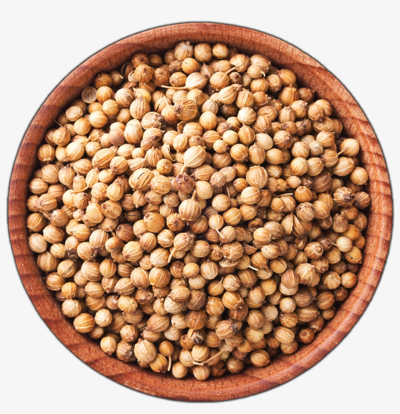 Chickpea Transparent PNG - 1200x1000 - Free Download on NicePNG