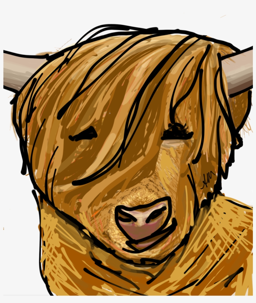 Harry The Highland Cow Transparent PNG - 1000x1255 - Free Download on ...
