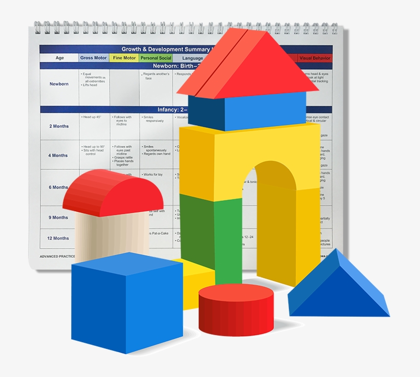 Building Blocks Guide To Growth & Development - Diagram Transparent PNG ...
