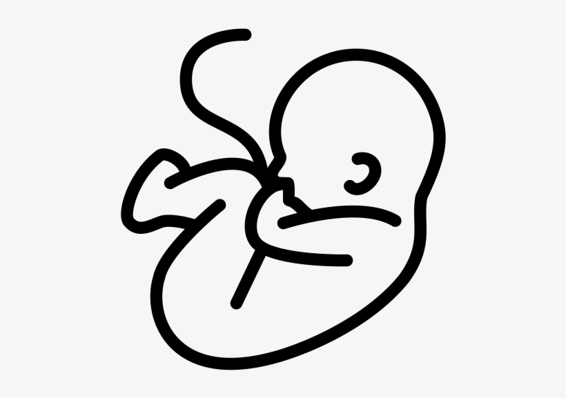 Transparent Baby In Womb Transparent PNG - 600x600 - Free Download on ...